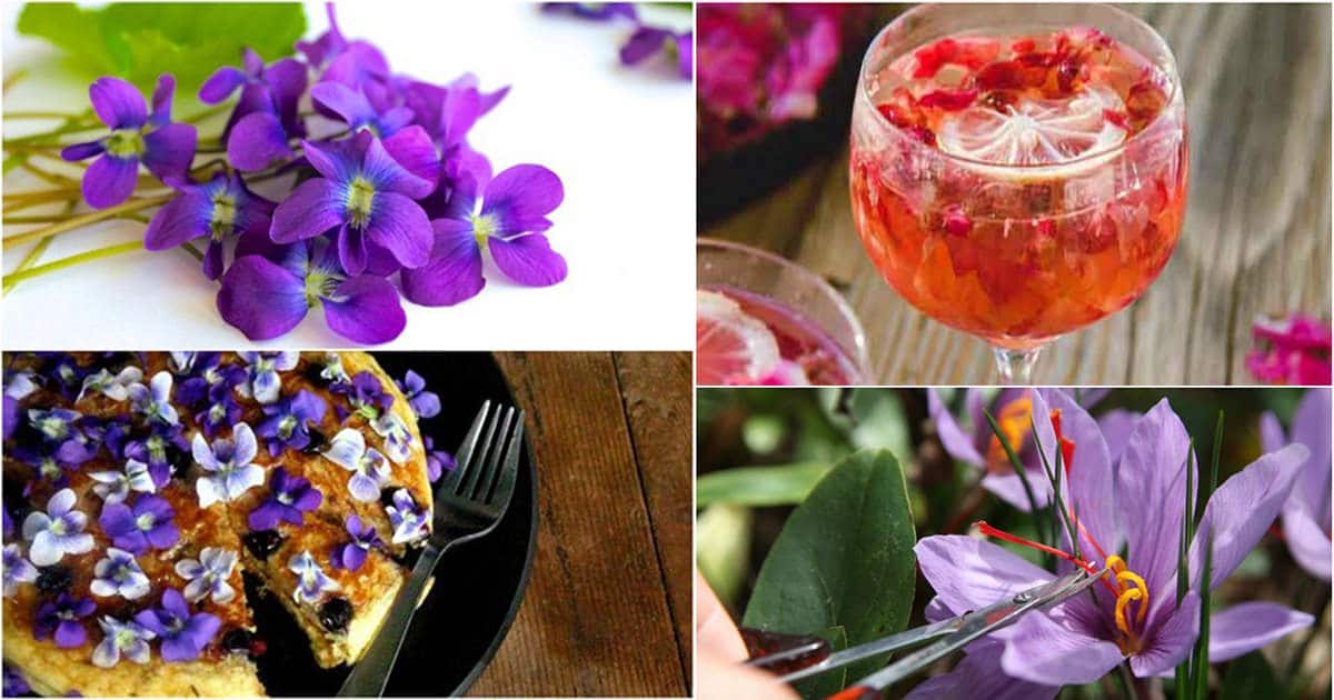 10 Great Edible Flowers: Flavor Your Food & Improve Your Health